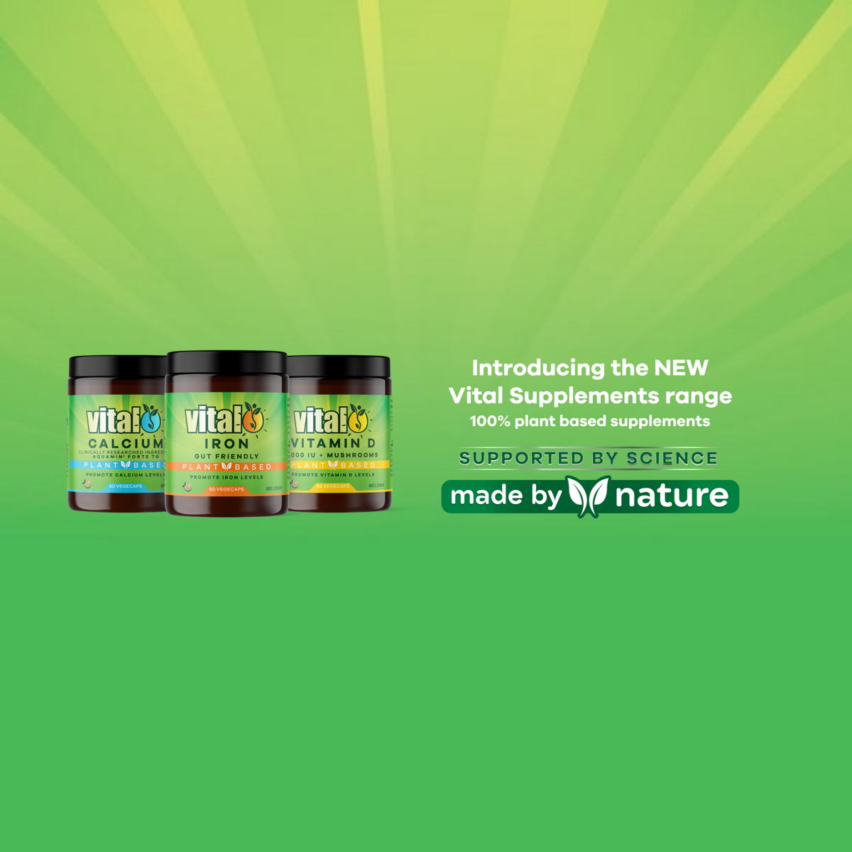 Vital Supplements Range – Vital Everyday UK